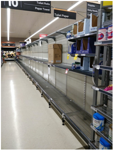 Irrational Consumer Behaviour in Times of Global Health Crisis COVID-19